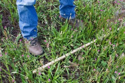 Mobile App | LandPKS