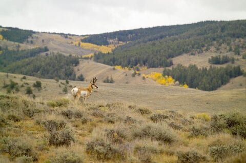 Mobile App | LandPKS