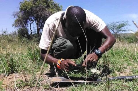 Research: A standardized land capability classification system for land ...