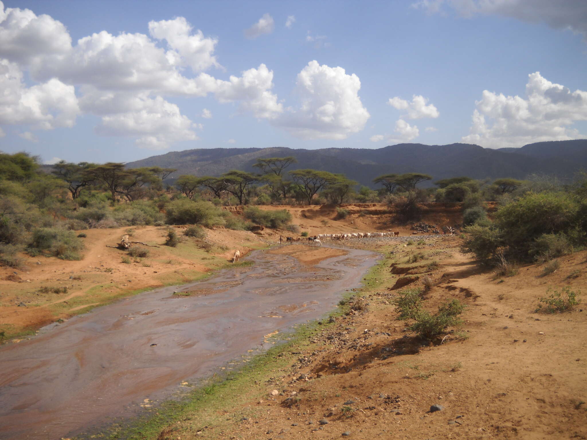 Project and Impact Evaluation | LandPKS