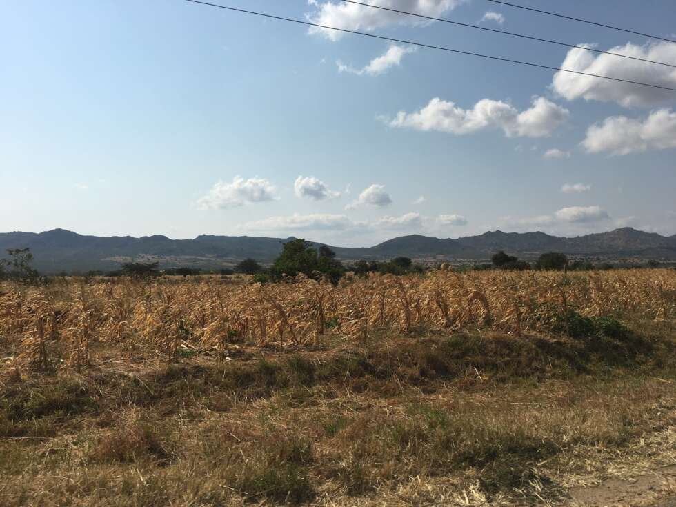 LandCover – Vegetation (Project & Impact Evaluation) | LandPKS