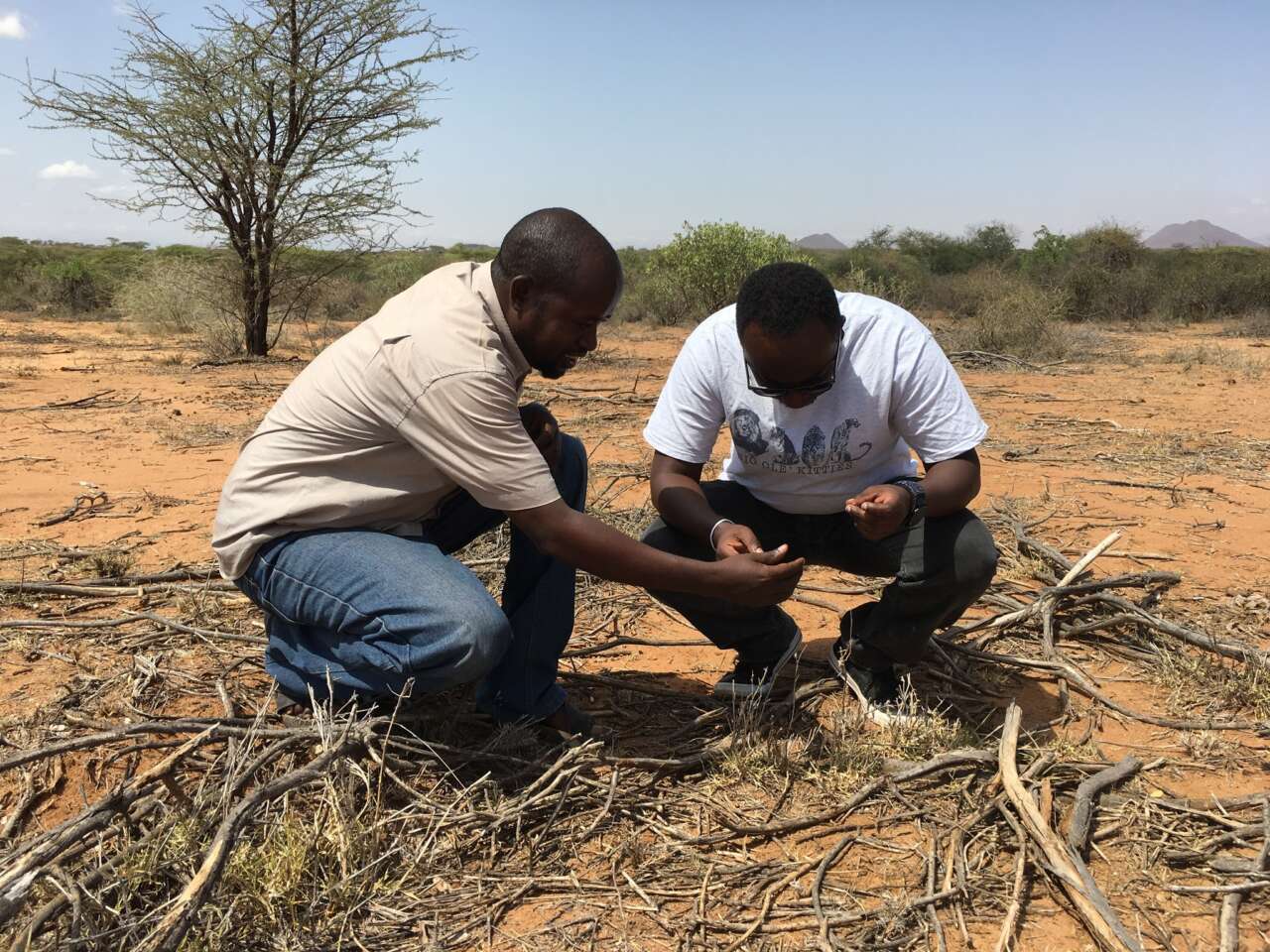 Land-Use Planning | LandPKS