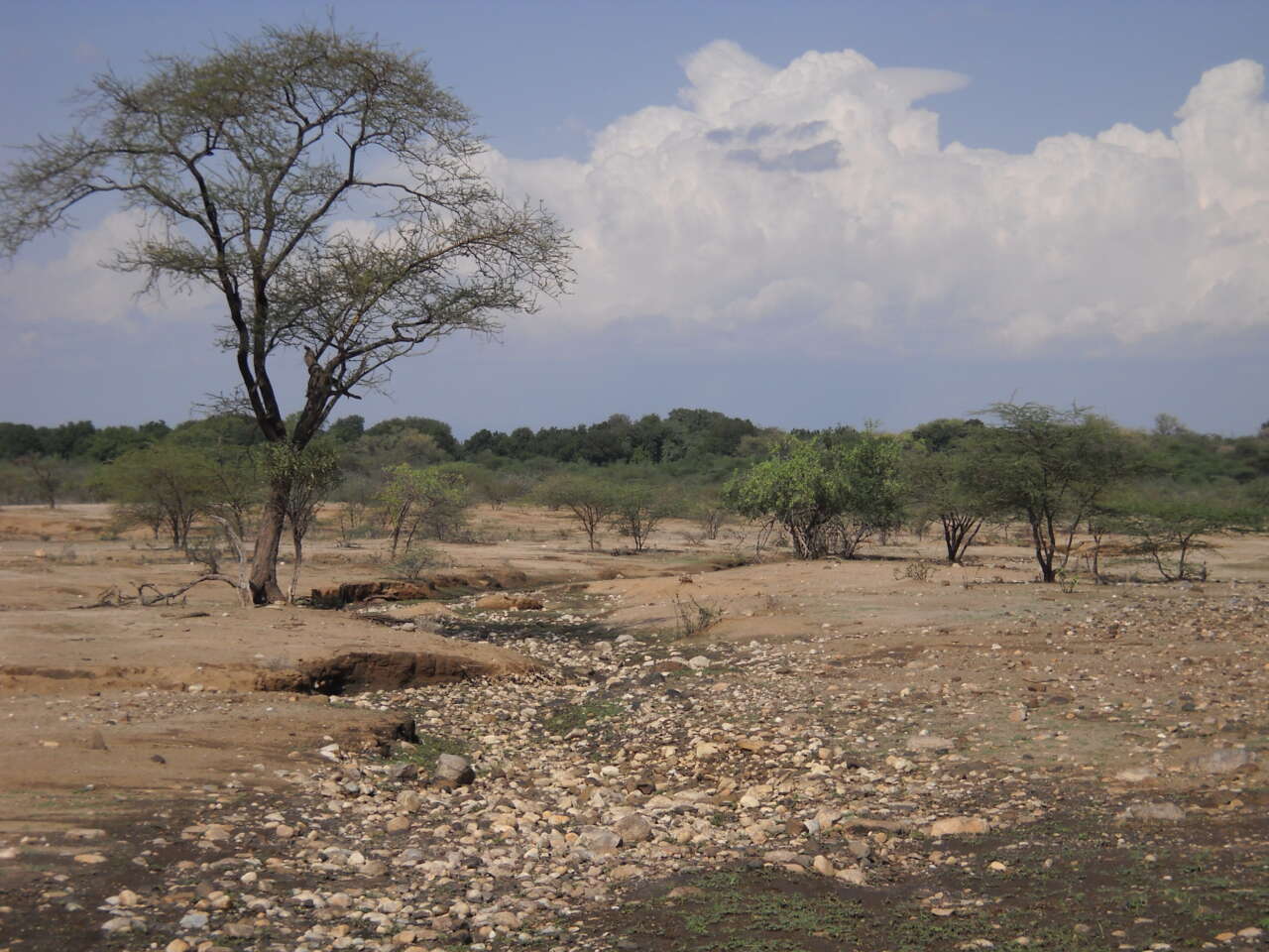 Soil Health (Soil Health) | LandPKS