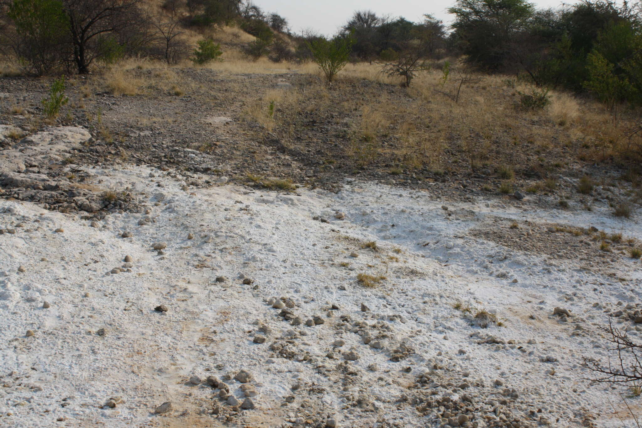 Soil Health | LandPKS